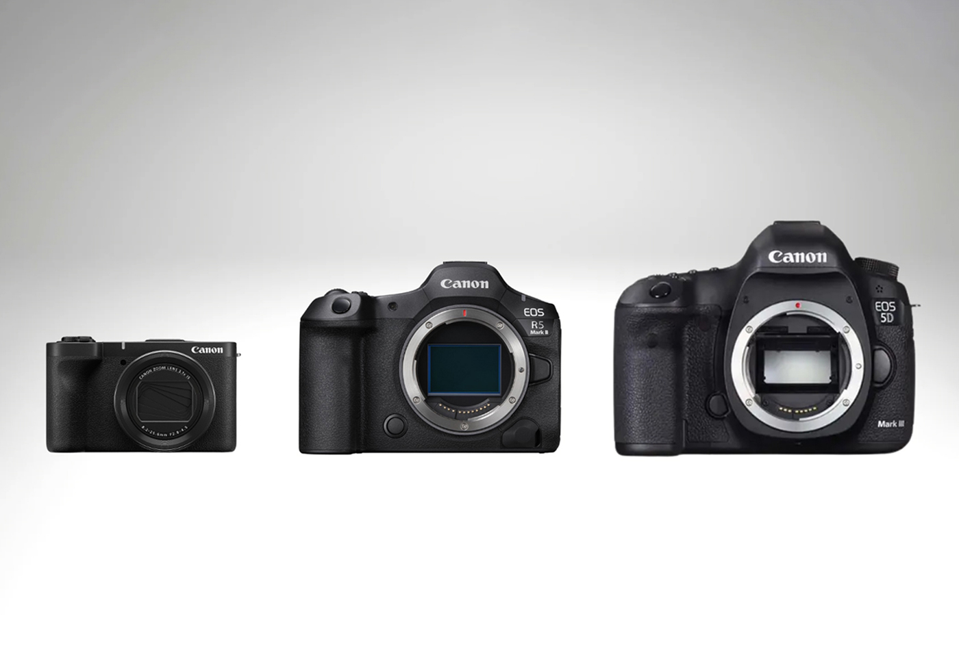 Photography Tips and Tutorials from Canon | Canon New Zealand